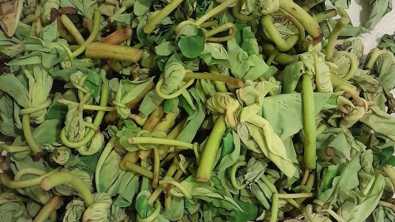 GINATA-ANG GABI WITH DRIED SHRIMP|GALING PINAS. - YouTube