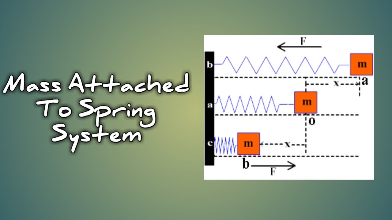 Physics 10th Ch# 10 Topic: Mass Attached to Spring System - YouTube