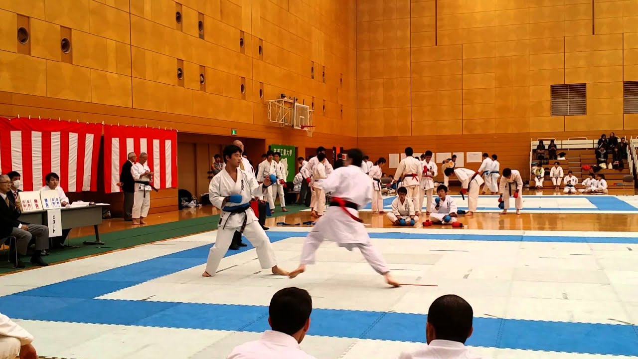 Japan Karate Tournament Kumite Videos Tokyo 2014 M.I.T. and Tufts Teams ...