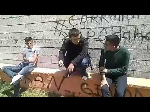 Alişan Ve Ferit'in Duygusal Anne Vine Videosu