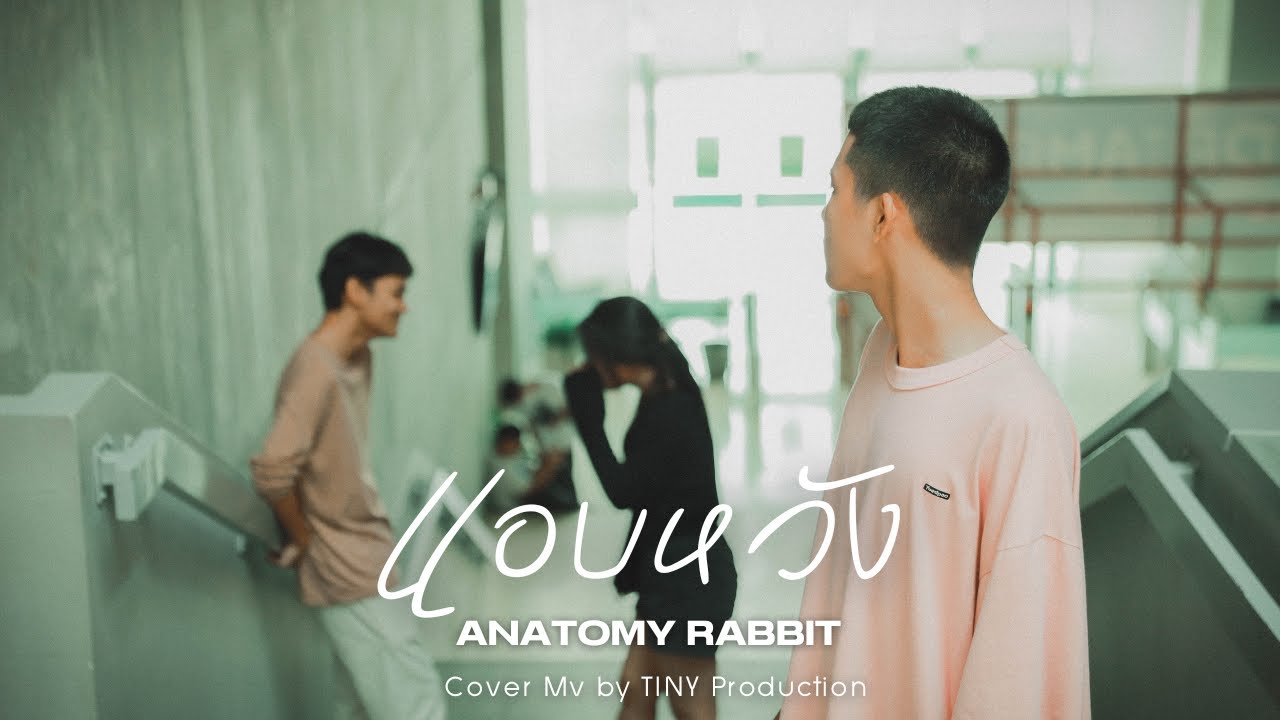 Anatomy Rabbit - แอบหวัง [Cover MV] | TINY PRODUCTION - YouTube
