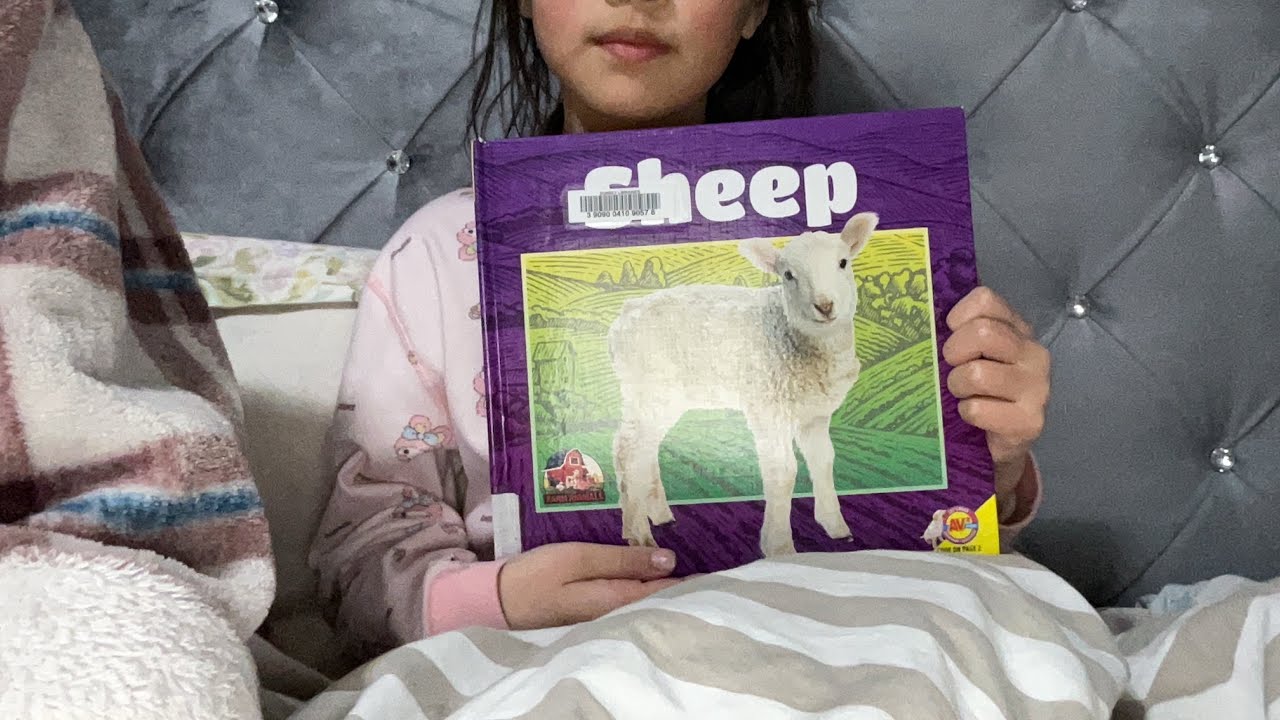 Sheep kids book read aloud - YouTube