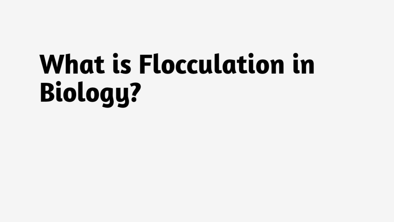 What is Flocculation in Biology ? - YouTube