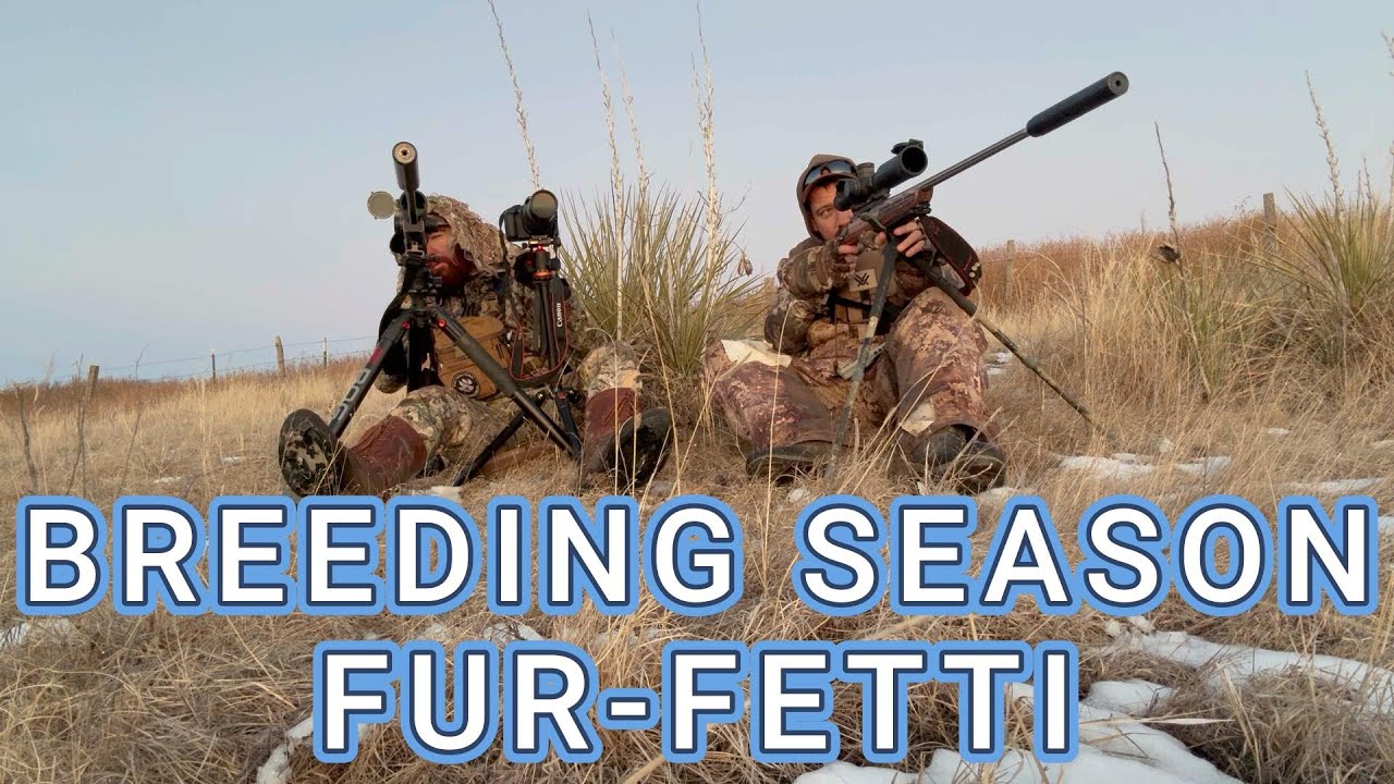 Breeding Season Fur-Fetti - YouTube