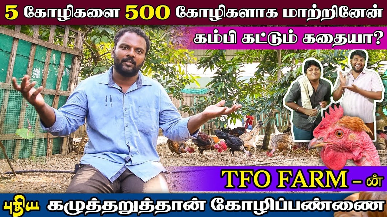 Ads | TFO Farm channel TFO Farmன் புதிய கழுத்தறுதான் கோழி பண்ணை!! - YouTube