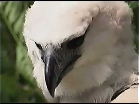 Discovery Kids on NBC Promo (2005) - YouTube