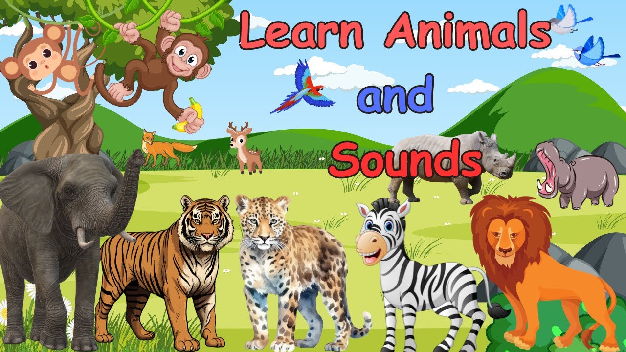 Wild Animals For Kids And Toddlers: Learn Animal Names And Sounds ...