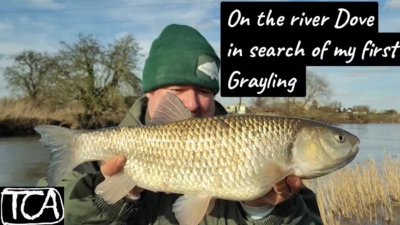 Fishing the river Dove in search of my first Grayling VID 018 - YouTube