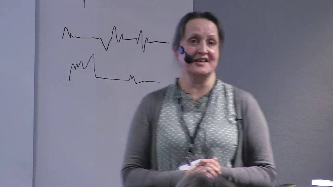 Om kommunikation, tillgänglighet och delaktighet • utdrag från ...