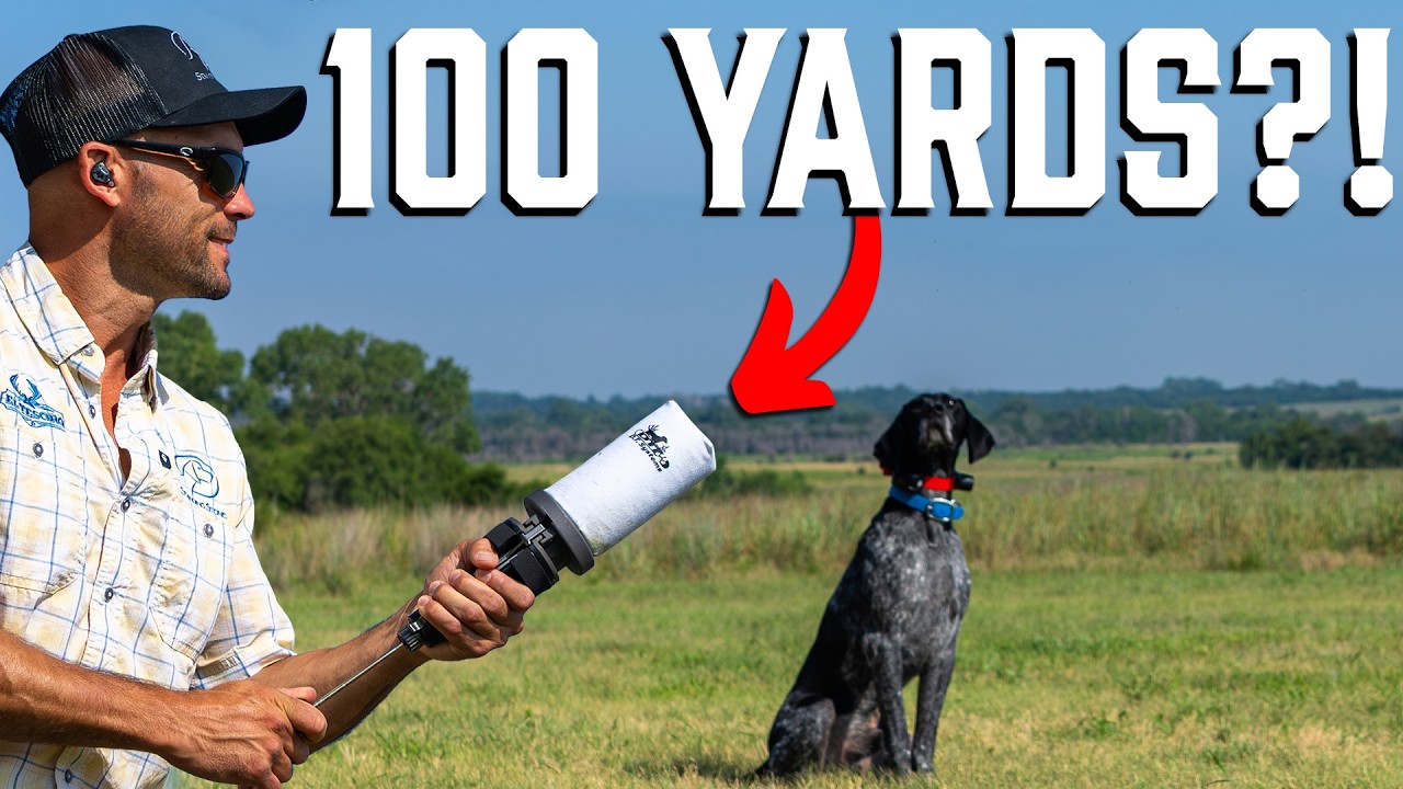 The Secret Tool Every Bird Dog Trainer Needs! - YouTube