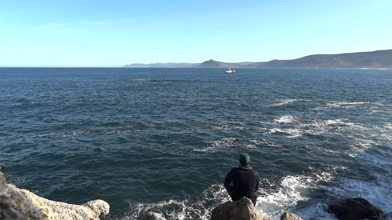Rock fishing, huge maragota bite near Cape Prior, Ferrol (Galicia ...