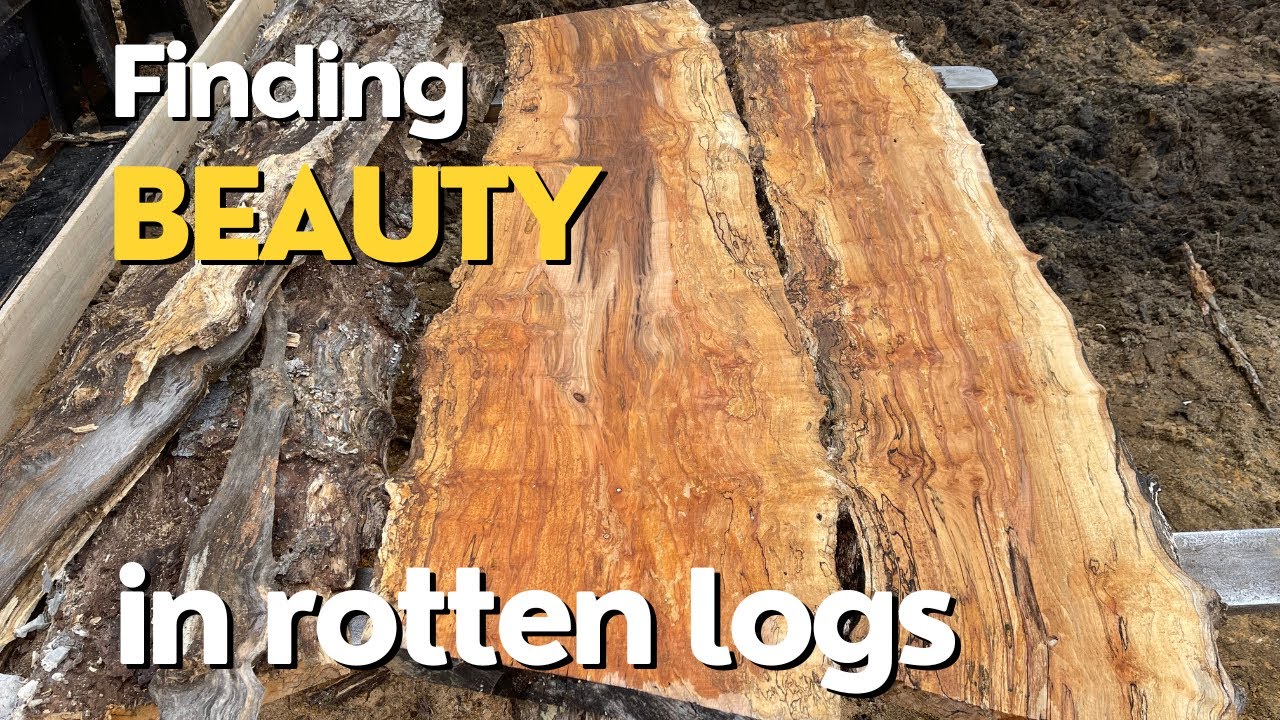 Finding Beauty in Rotten Logs with Wood-Mizer LT40 Wide Sawmill - YouTube