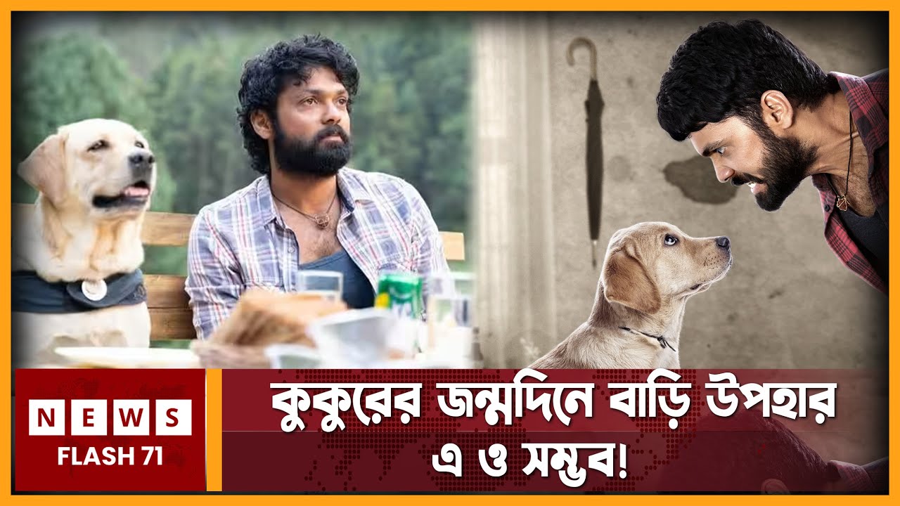 কুকুরের জন্মদিনে ২১ লাখ টাকার 'বাড়ি' উপহার কিন্তু কেন? | Brent Rivera ...