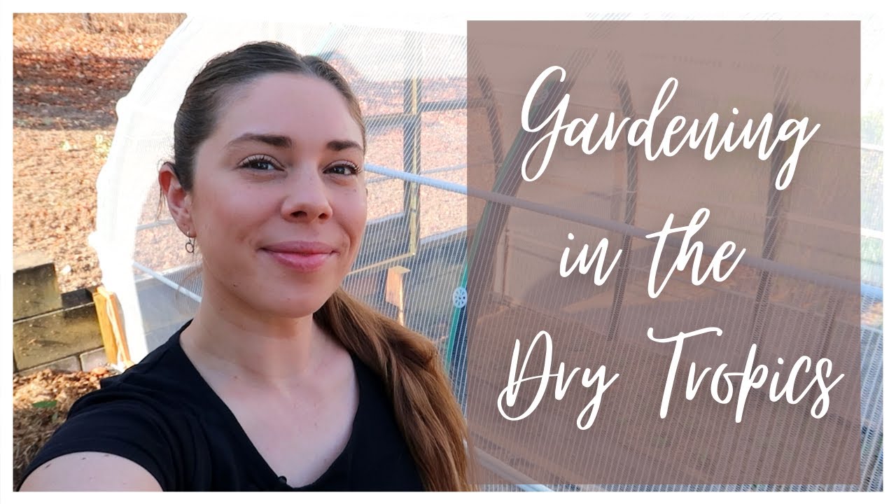 Dry Tropics Garden Tour | Semi Off-Grid Property in the Whitsundays ...