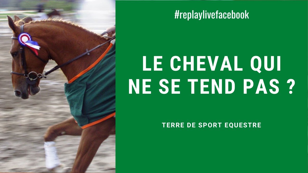 Le cheval qui ne se tend pas ? - YouTube