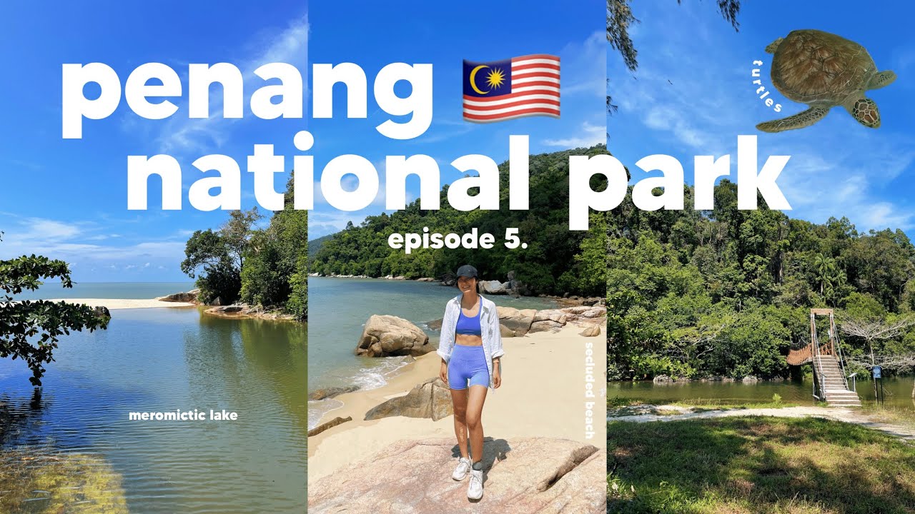 don't miss this if you're visiting Penang! exploring Penang National ...