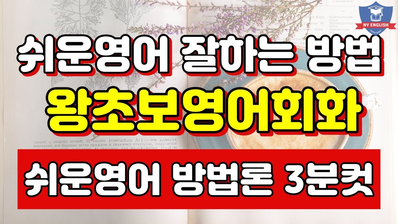 방법론 쉬운영어 잘하는 방법 3분컷 엄마 할머니 초등학생 독학으로 초간단 왕초보영어회화 기적 공부법 여행 비지니스 영어까지