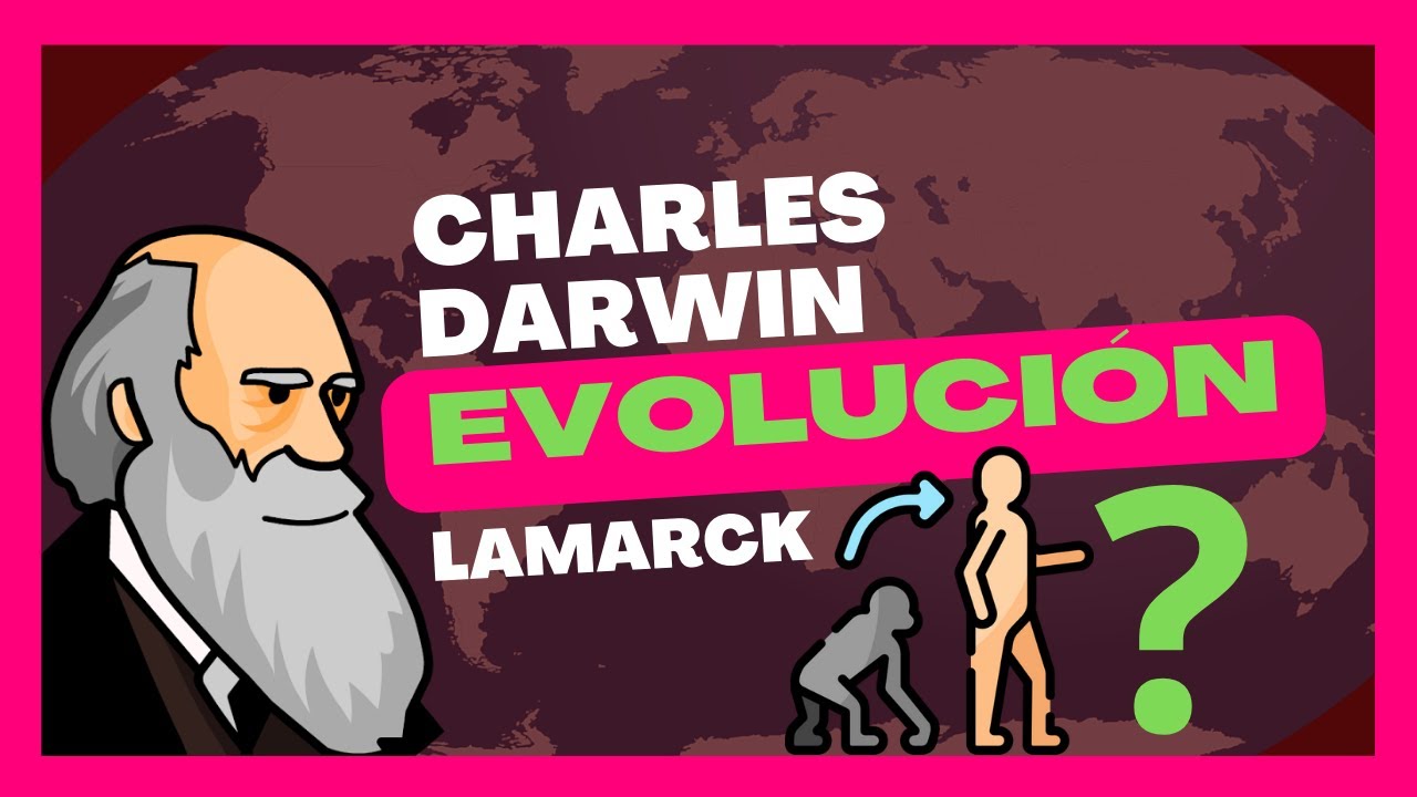 Teorías de la evolución | Fijismo, Lamarck, Darwin (Explicación 2025 ...
