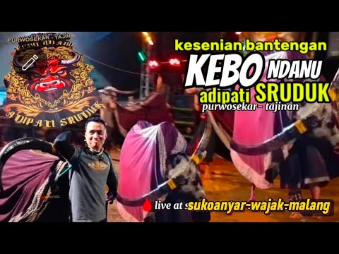 KEBO NDANU adipati SRUDUK full mberot live at sukoanyar-wajak-malang ...