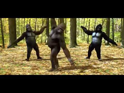 Funny monkey dance - YouTube