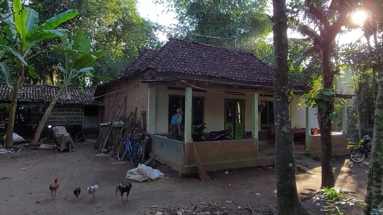 Real Life in Javanese Village | House in the village | Indonesian rural ...