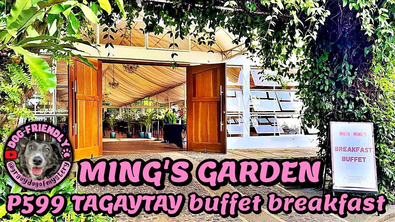 Ming's Garden Events Hall 🍽️ Weekend Buffet Breakfast🐶 pet-friendly ...