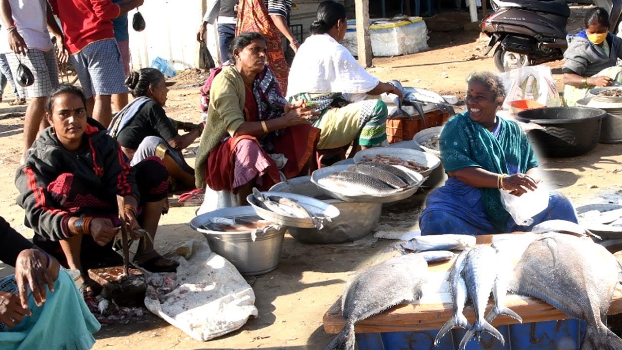 Early Morning Fish Market - Kakinada Andhra Pradesh INDIA|Ladies Fish ...