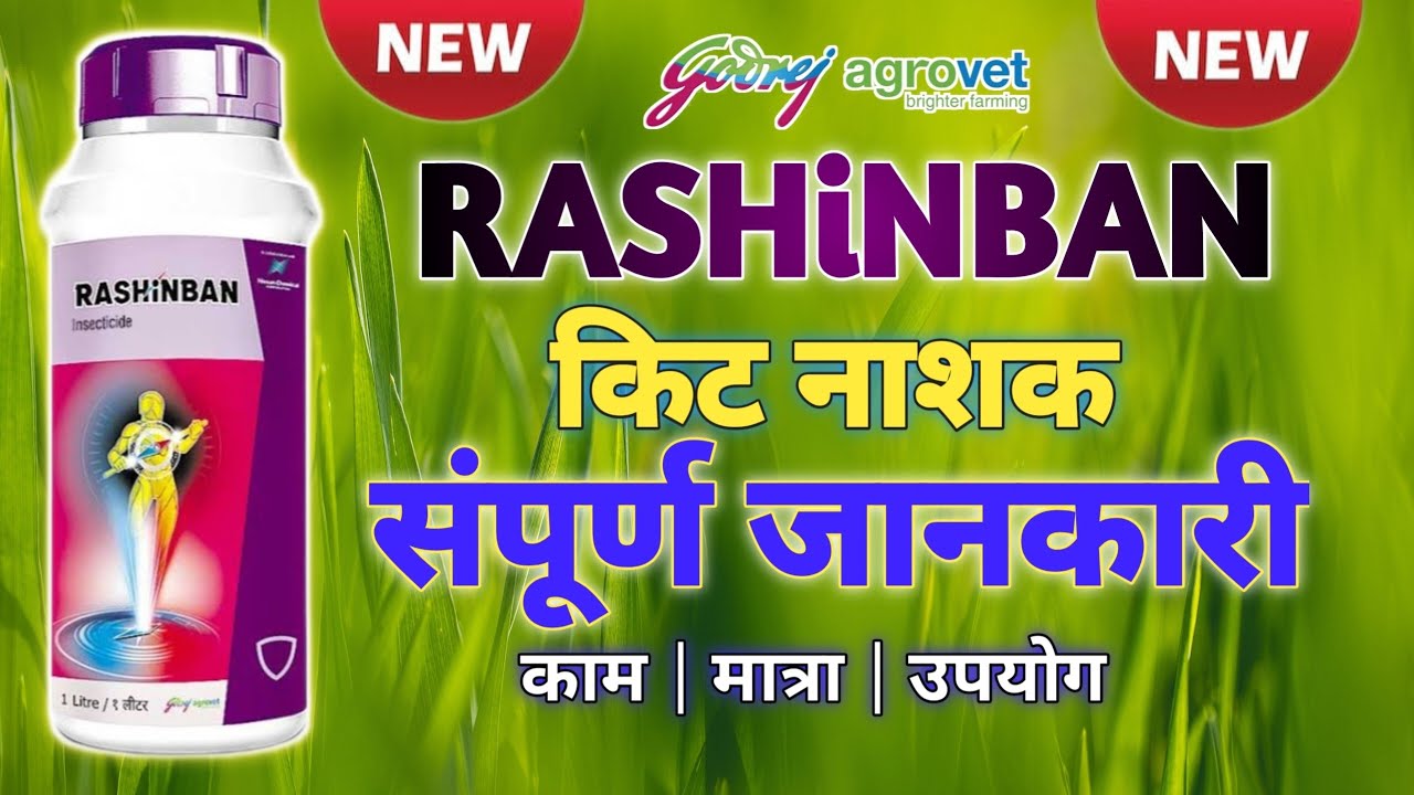 Rashinban insecticide | Rashinban insecticide uses in hindi | संपूर्ण ...