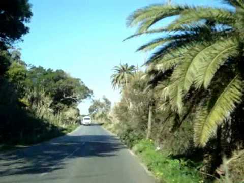 Sur la route du mont Chenoua. 3 Mars 2012 - YouTube