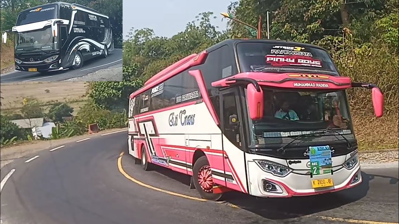 FULL BASURI BUS CS TRANS, AZZAHRA, ETI TRANS, BUS TELOLET BASURI ...
