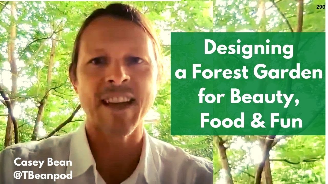 Designing a Forest Garden for Beauty, Food & Fun in Ishikawa with Casey ...