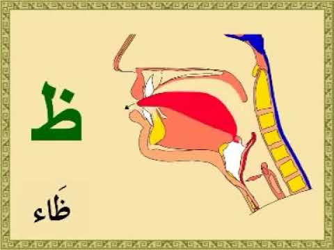 Pronunciation Of Arabic Letters By using your Tongue and Mouth - YouTube