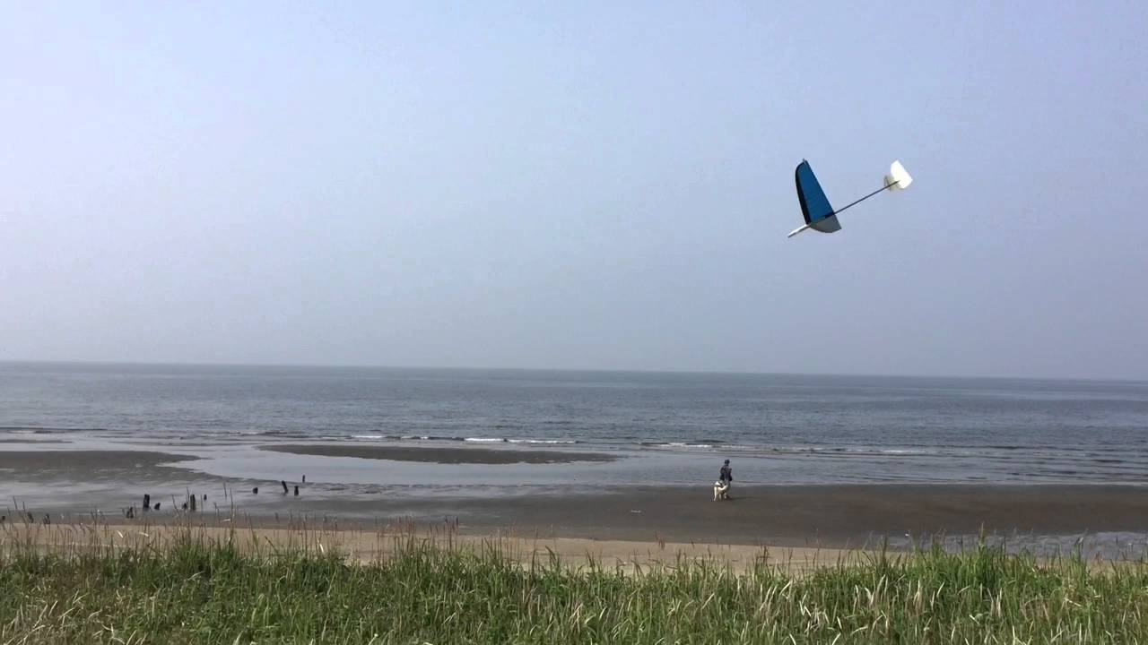 Vladimir's Models ELF DLG - Beach Soaring (Chiba, Japan) - YouTube