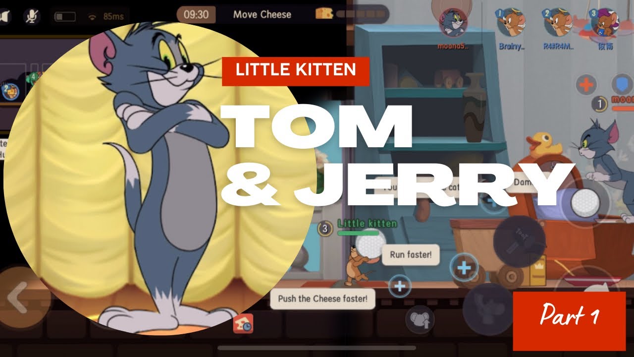 Little kitten || tom & jerry - YouTube