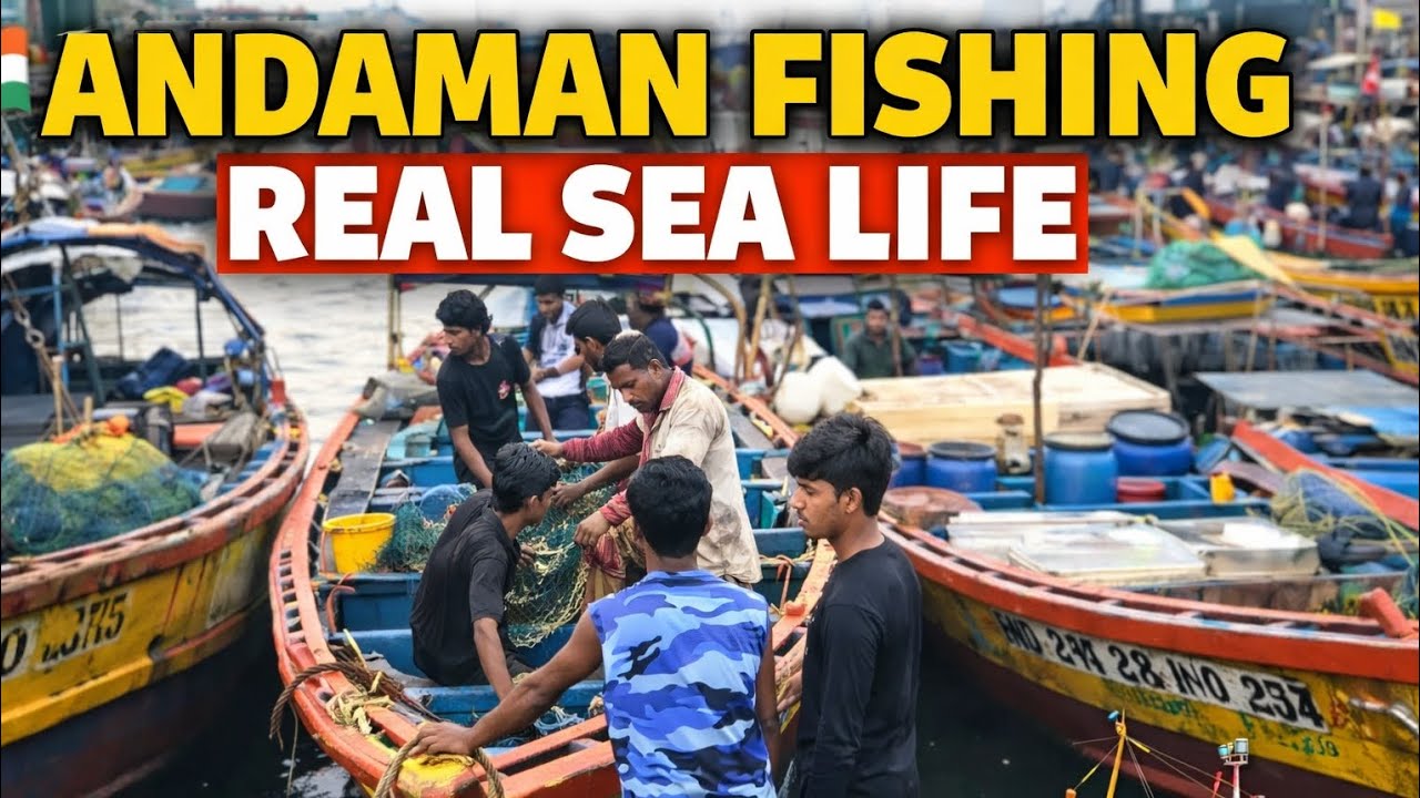 Real Andaman Fishing life#Andaman#FishingLife#IndianFishermen#SeaLife# ...
