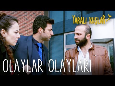 Olaylar Olaylar! | Yaralı Kuşlar 37. Bölüm