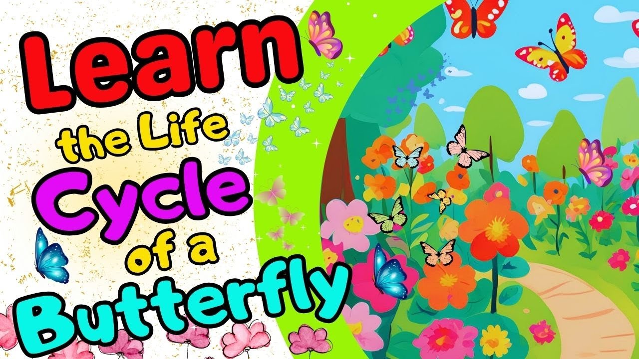 Learn the Life Cycle of a Butterfly | Educational video for kids | Fun ...