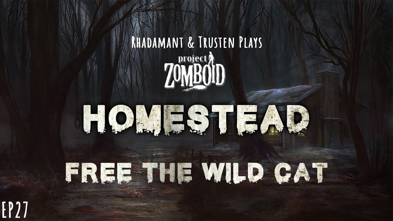 Project Zomboid Homestead - Free The Wild Cat // EP27 - YouTube