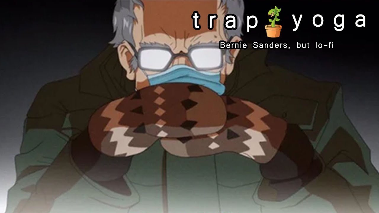 Bernie Sanders Mittens, but it's Lofi | Bernie Sanders Meme Compilation ...
