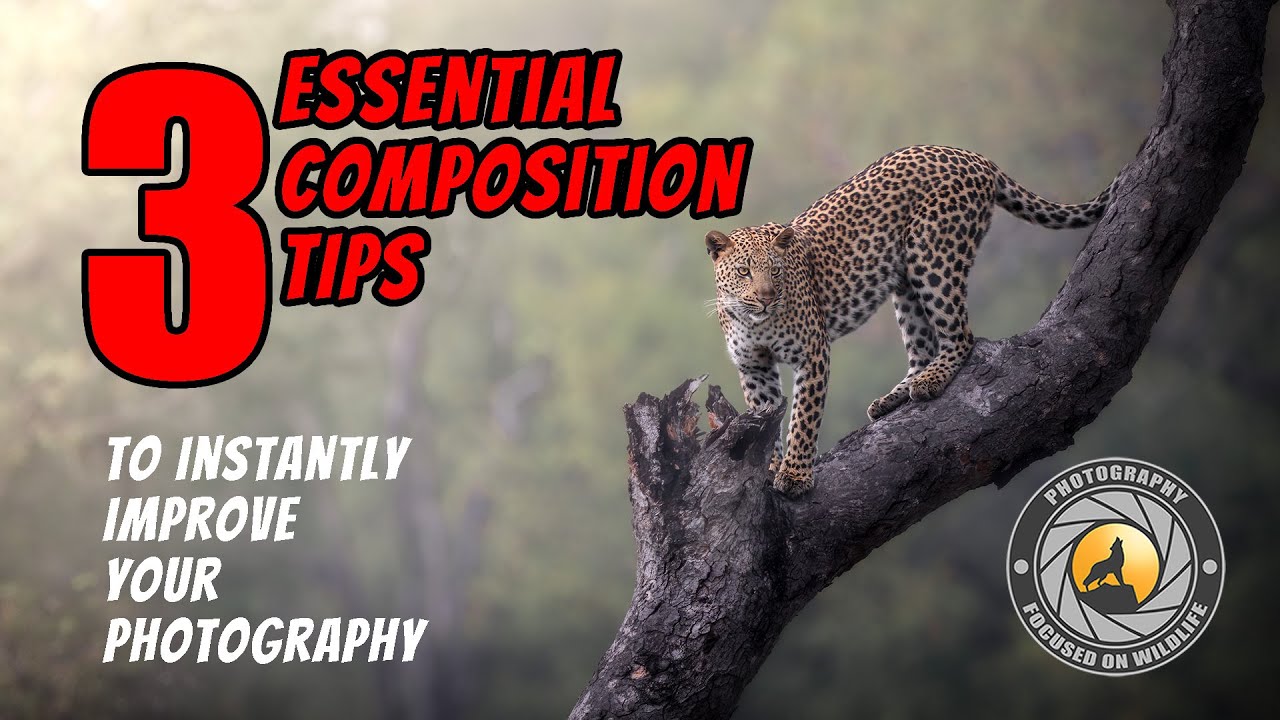 Essential Composition Tips to Instantly Improve Your Photography - YouTube