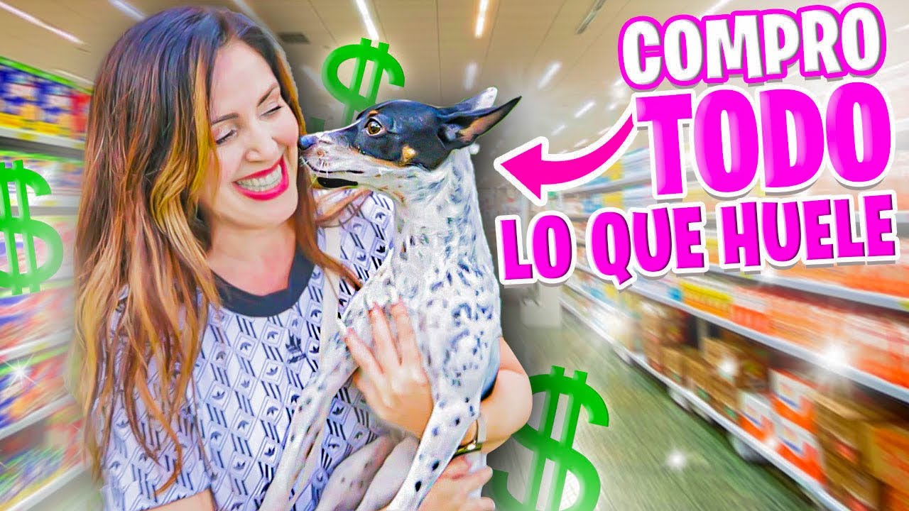 COMPRO TODO LO QUE EL PERRO TOCA EN LA TIENDA 💰 MAYA YA NO ES UN ...