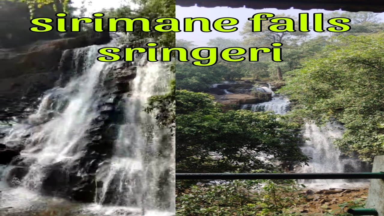 sirimane falls sringeri #kiggafalls #beautifulnature #naturevideos # ...