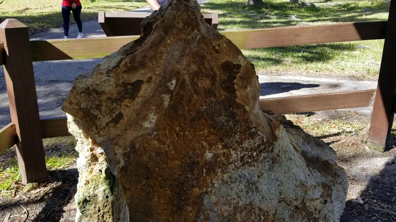 Crystal River Archaeological State Park