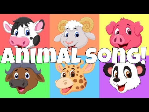 Animals in Motion! Brain Break Song for Kids