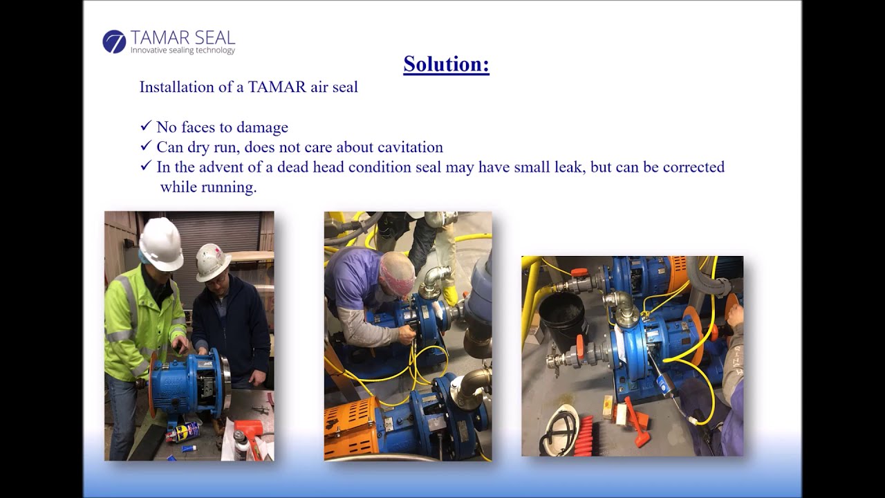 Mechanical Shaft Seals Tamar Seal -Tamar 720-PP Seal Success Story ...