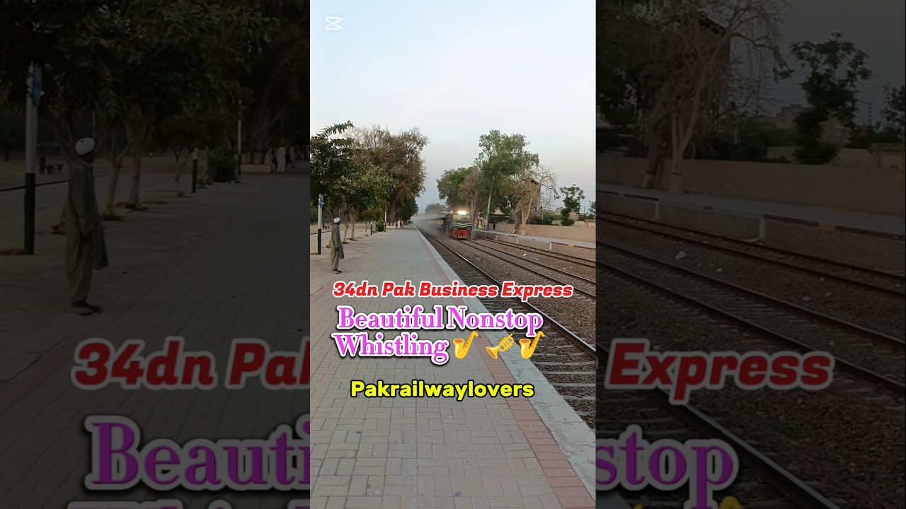 Thunder Speedy Pak Business Express #foryou - YouTube