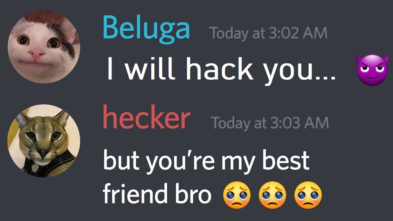 When beluga learns to heck... - YouTube