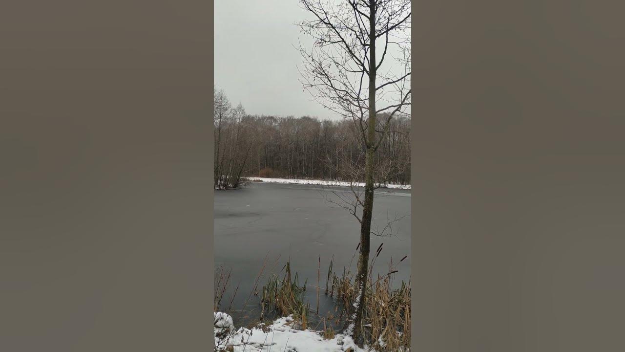 Все хотят видеть быстрые результаты,но.... - YouTube