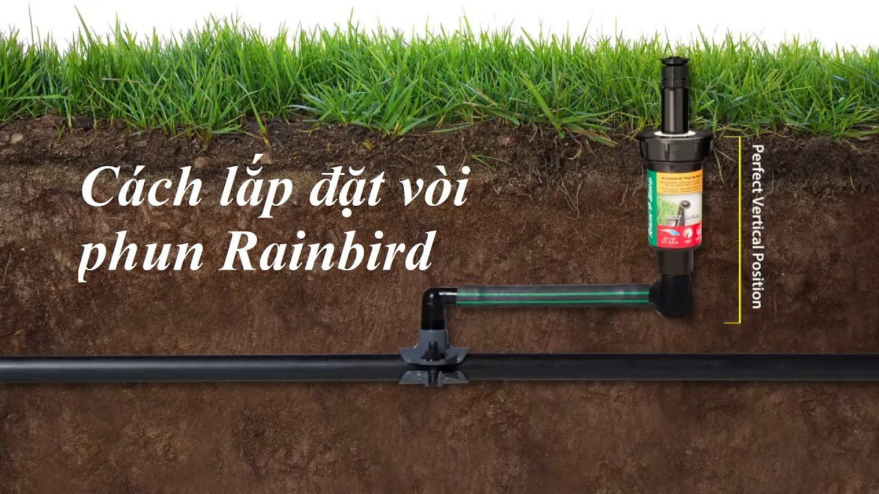 Cách lắp đặt vòi phun Rainbird - YouTube