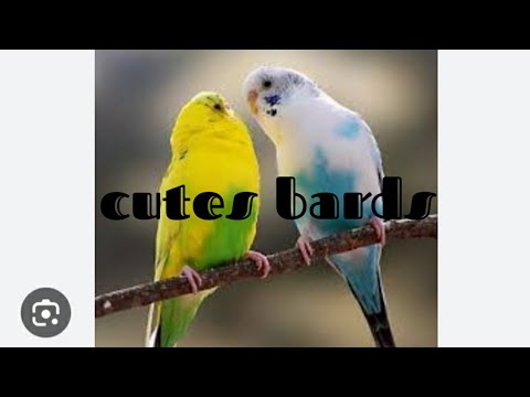 Facebook link for the jhuma Mukherjee - YouTube